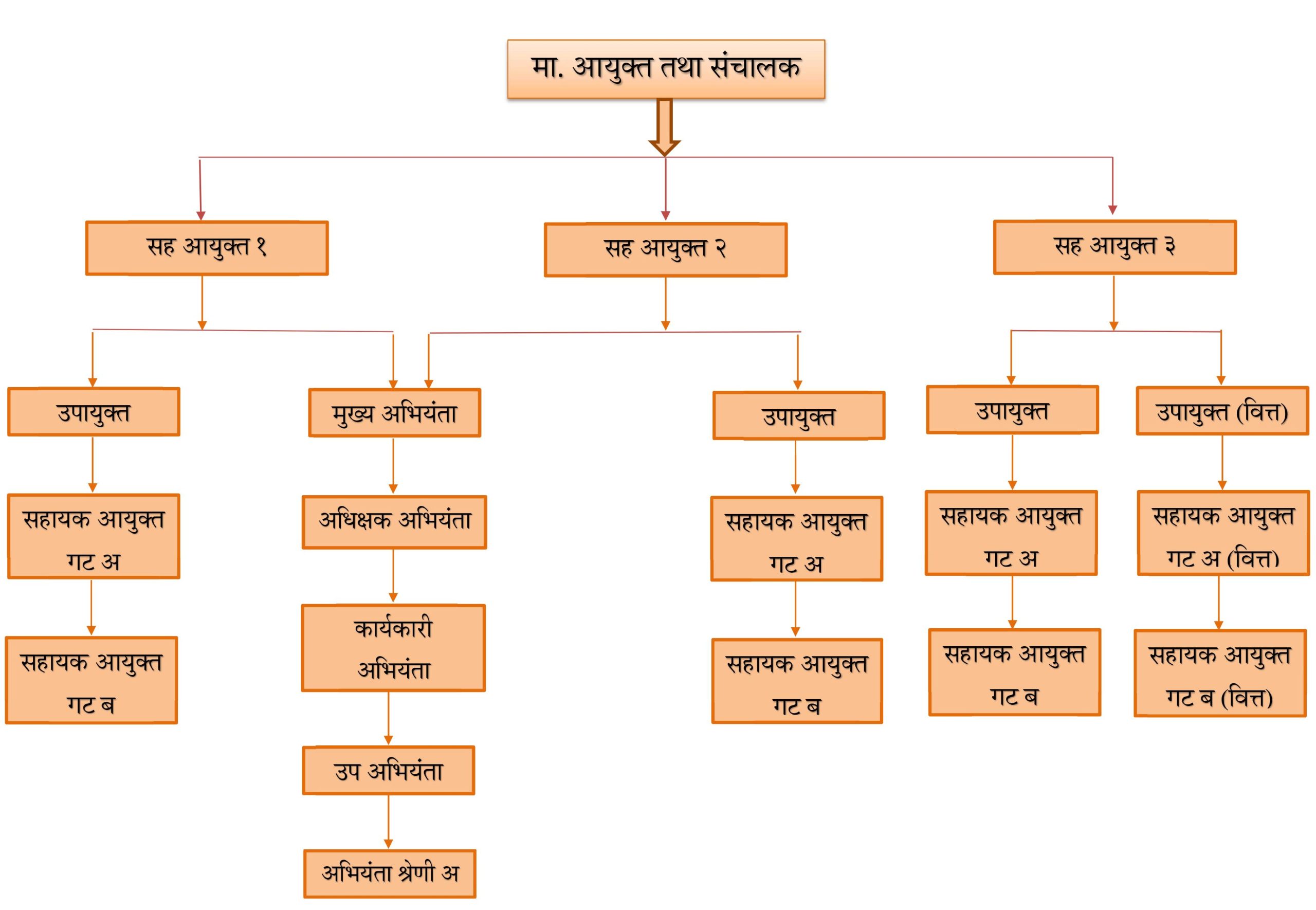 Organization Structure - Directorate of Municipal Administration